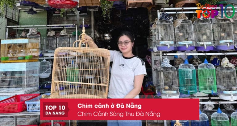 Top 10 Địa chỉ bán chim cảnh ở Đà Nẵng GẦN ĐÂY đẹp & giá rẻ