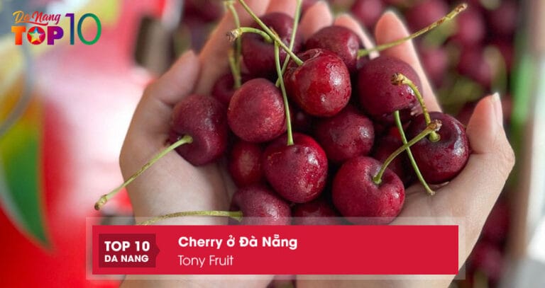 Top 10 địa chỉ bán cherry ở Đà Nẵng tươi ngọt, chất lượng